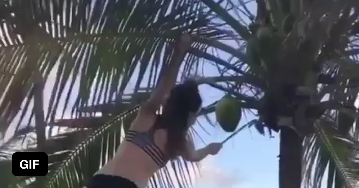 At least she tried - 9GAG