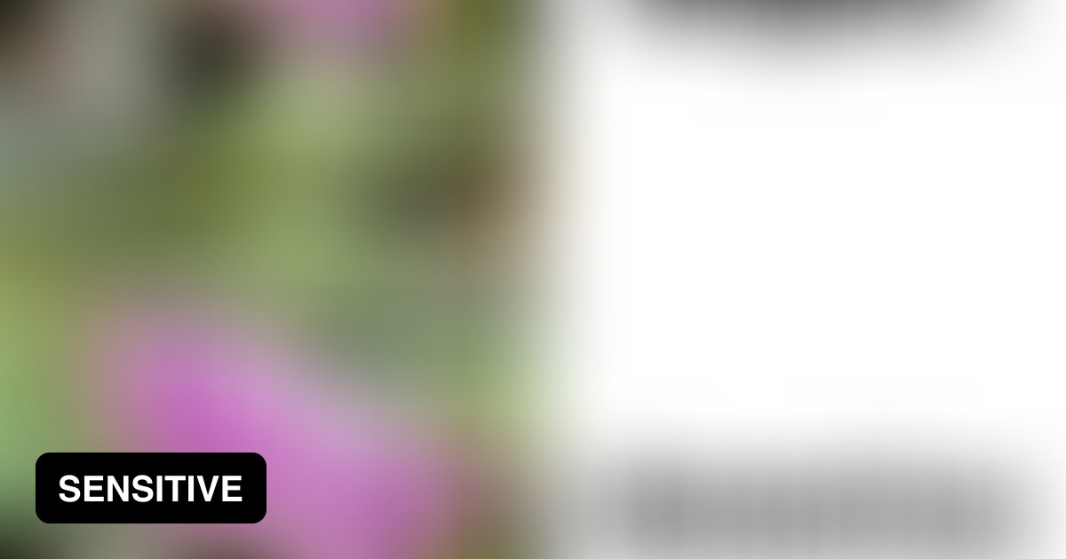 Stolen but dank - 9GAG