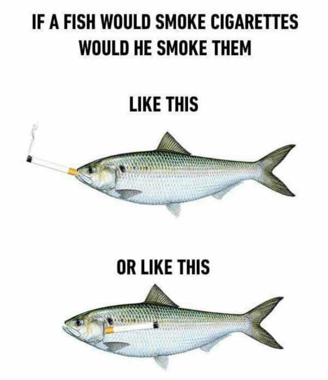 How would a fish smoke a cigarette - 9GAG