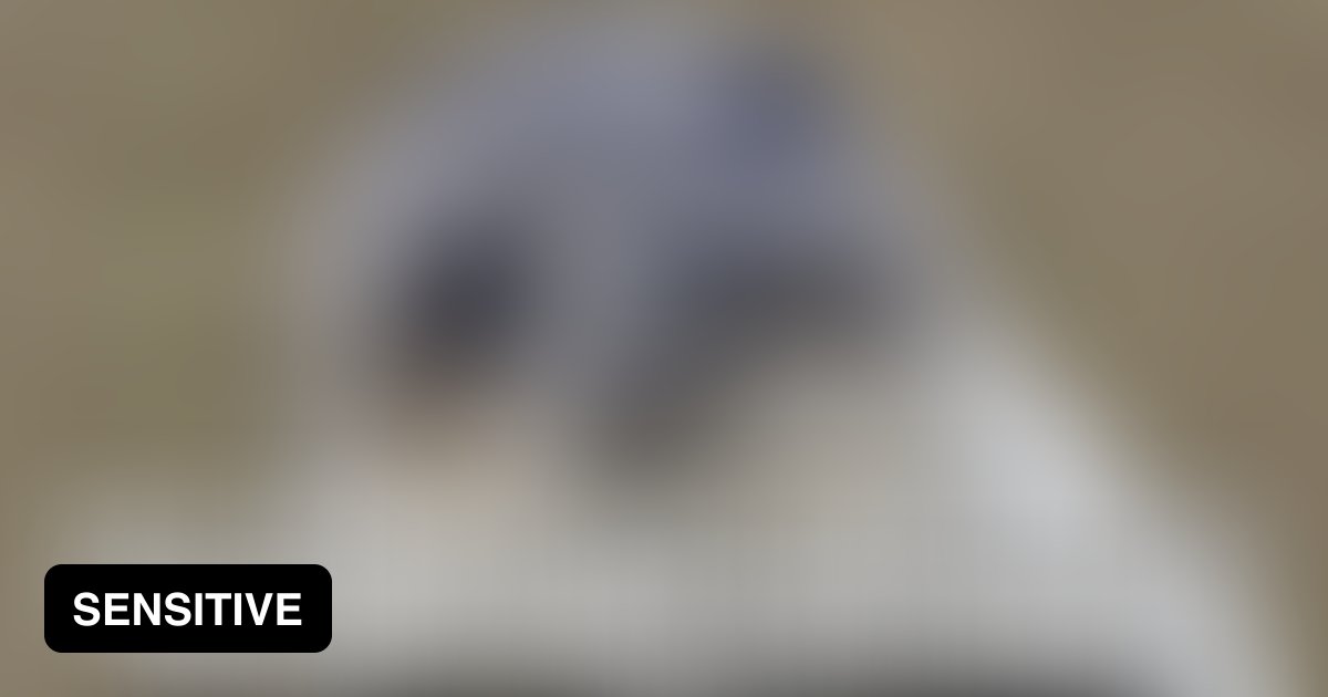 This shit ain't funny anymore and theres no reason to keep cooking dank ...