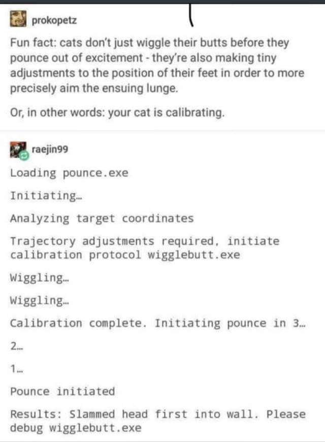 Wigglebutt.exe - 9GAG