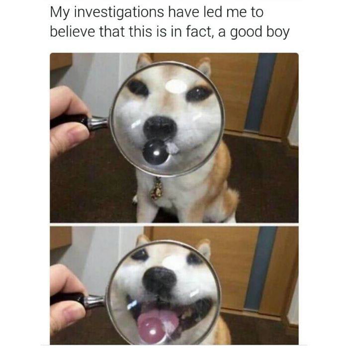 Gud Boi Doge - 9GAG