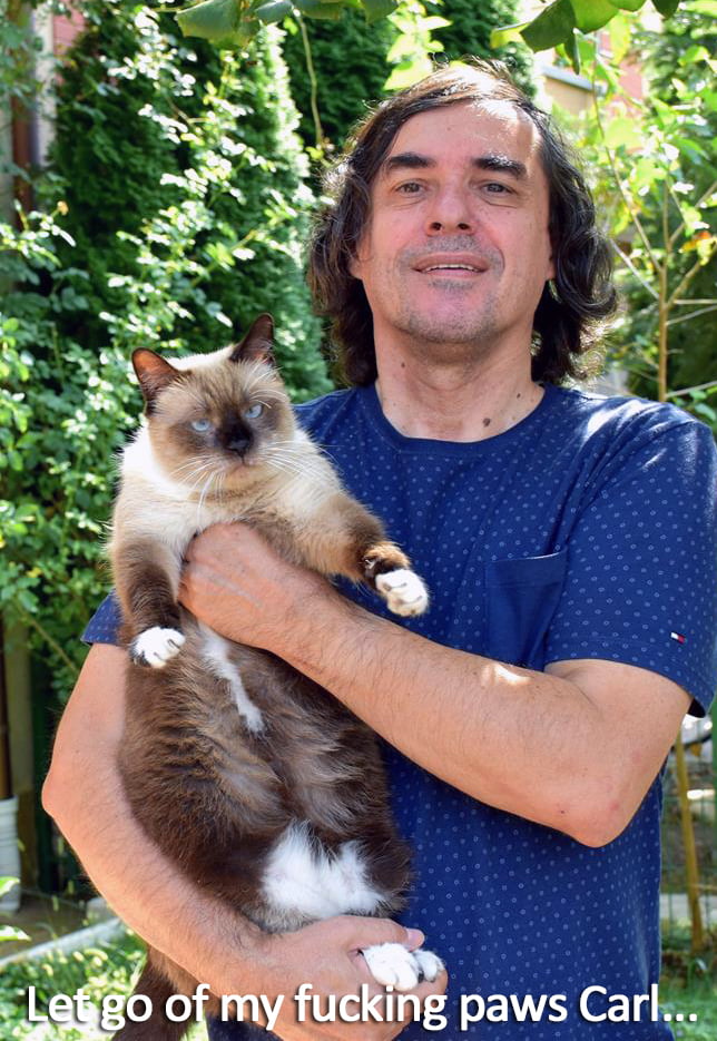 Grumpy cat is grumpy - 9GAG