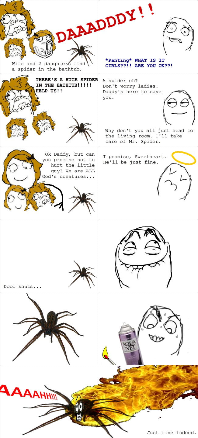 Rage Comics Spider