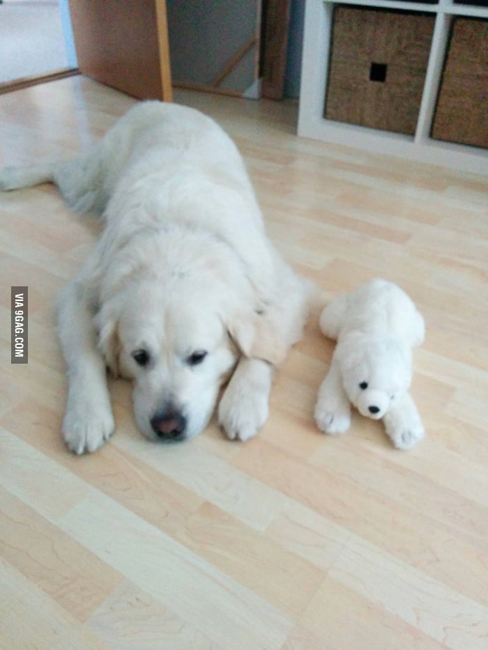He was once the same size - 9GAG