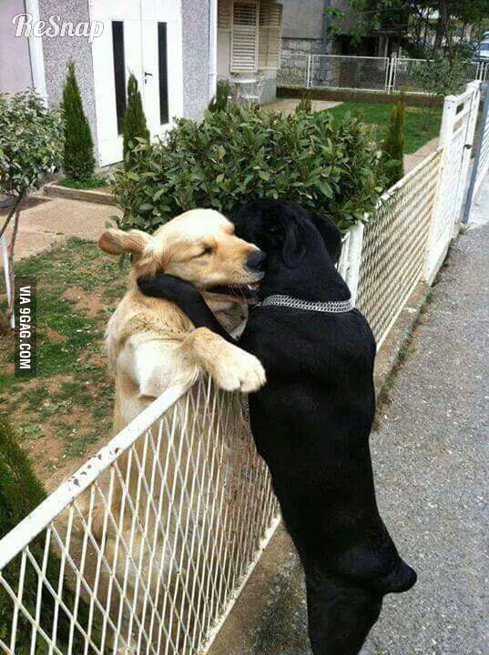 Bro hug - 9GAG