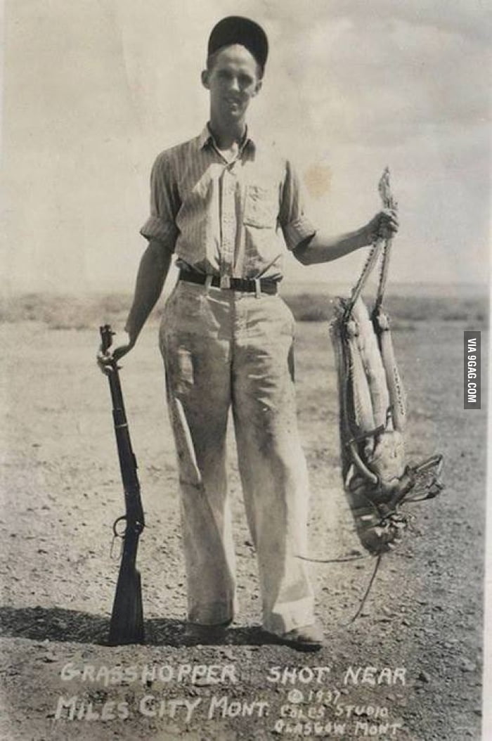 Man killed 21 kg heavy grasshopper (1937) - 9GAG