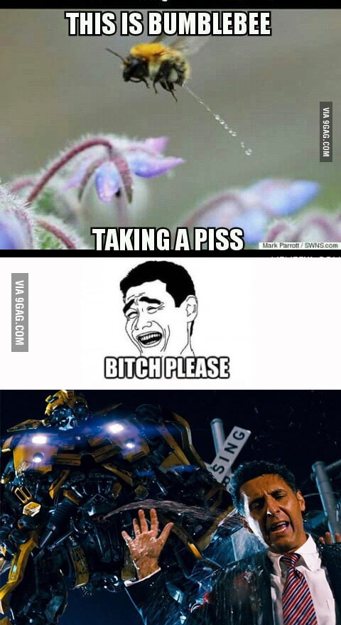 To the guy with the bumblebee... - 9GAG