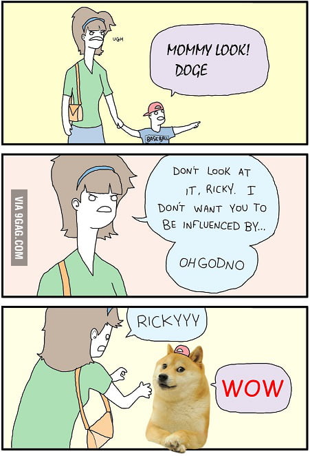 The danger of doge - 9GAG