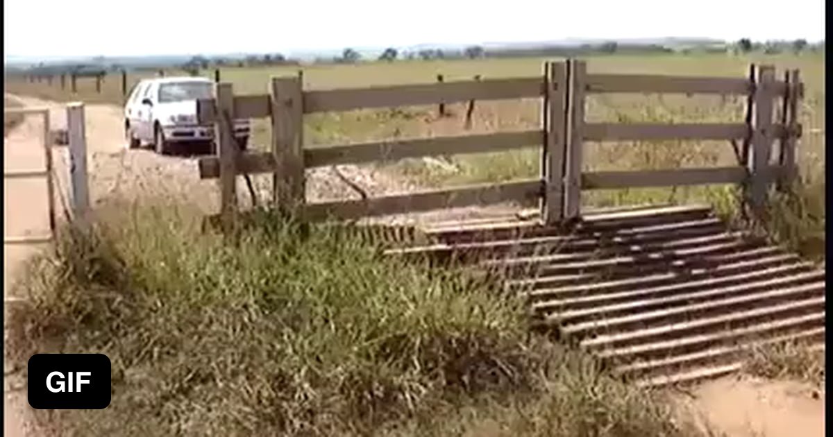 Wooden spring-loaded cattle gate - 9GAG