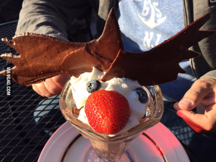 Chocolate mousse in Alaska - 9GAG