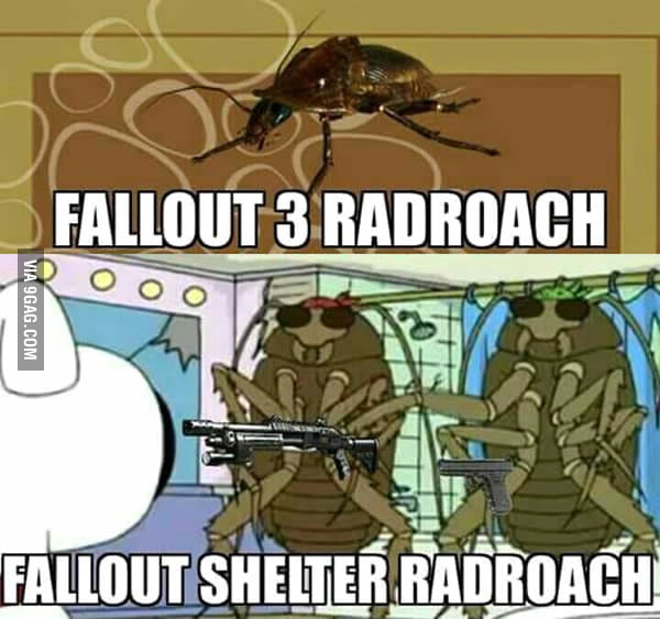 Radroach Memes
