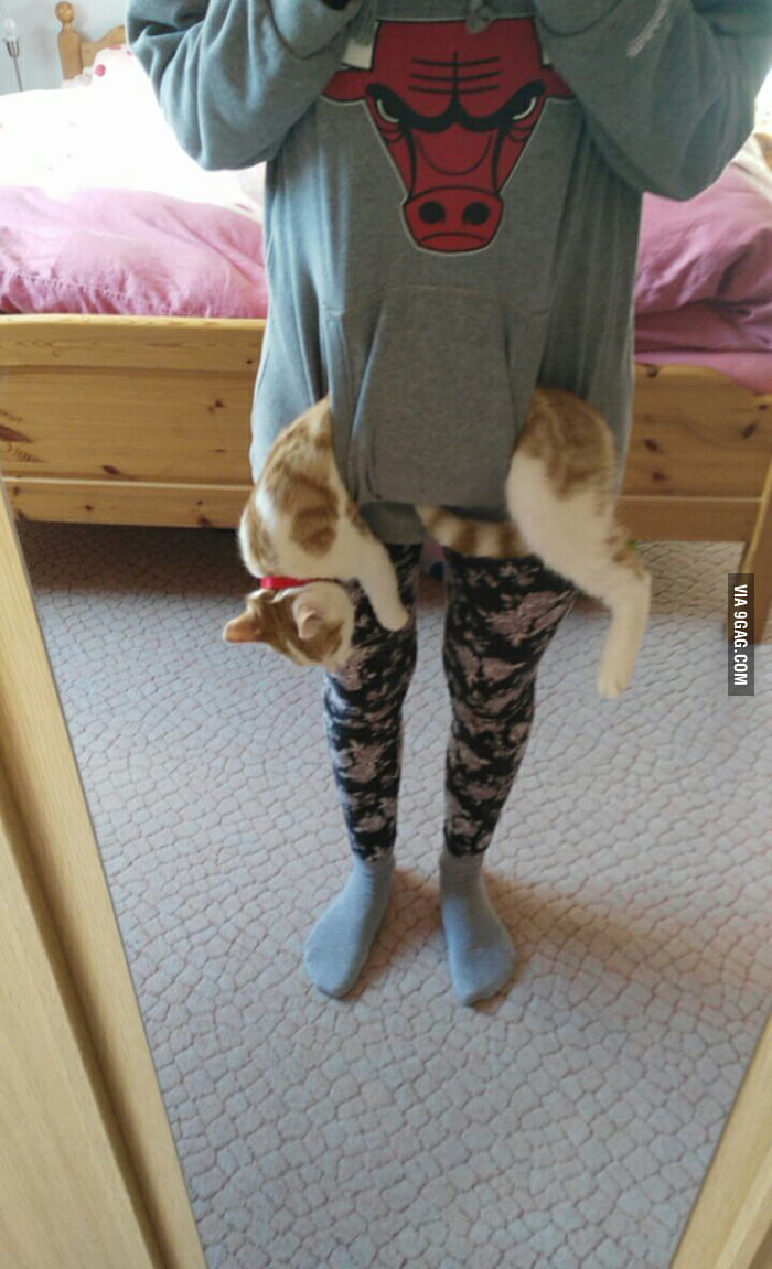 Never leave me alone with the cat - 9GAG