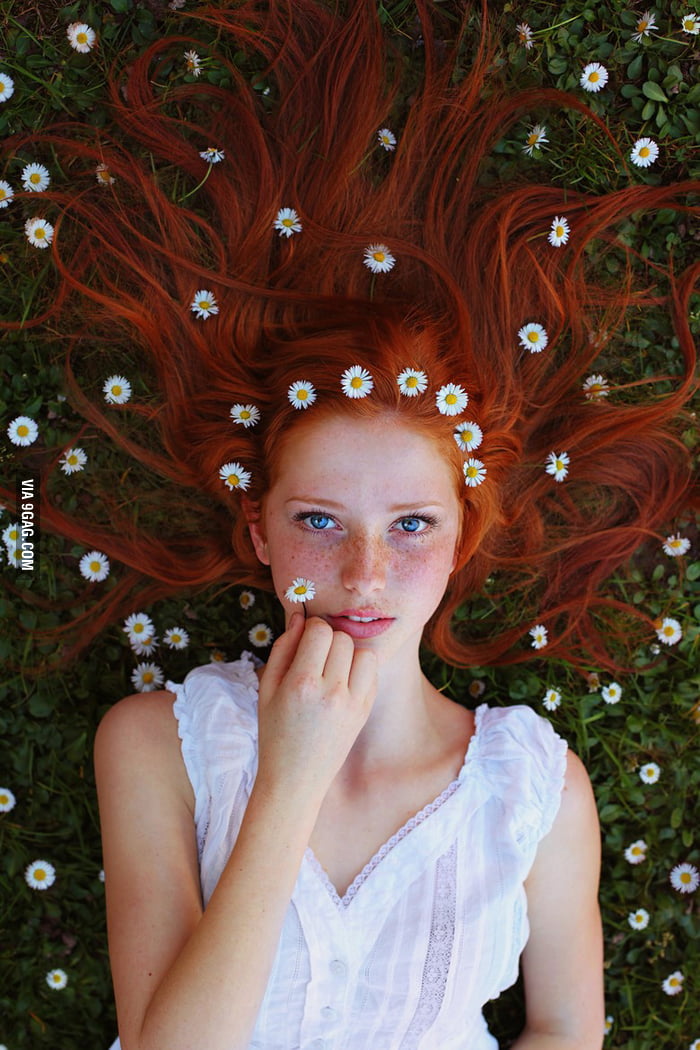 Ginger - 9GAG