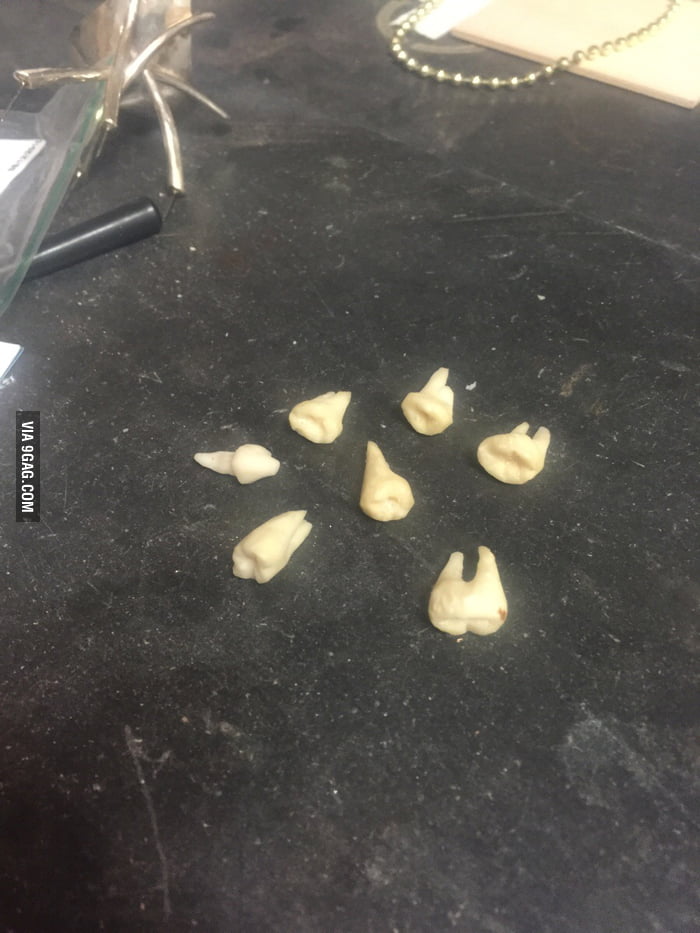 This guy carved some teeth out of almonds. - 9GAG