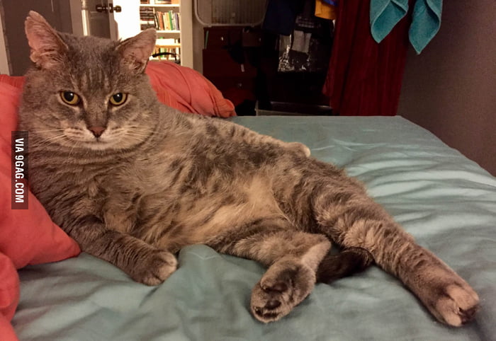 Seduction level: maximum. - 9GAG