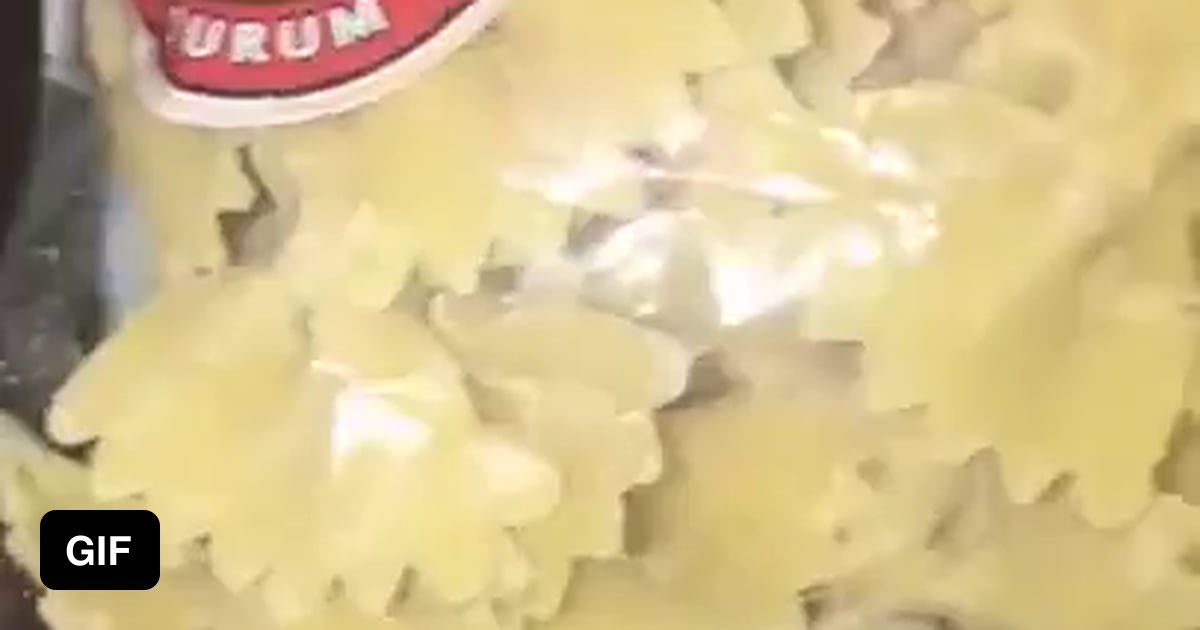 Unopened bag of pasta infested with bugs - 9GAG