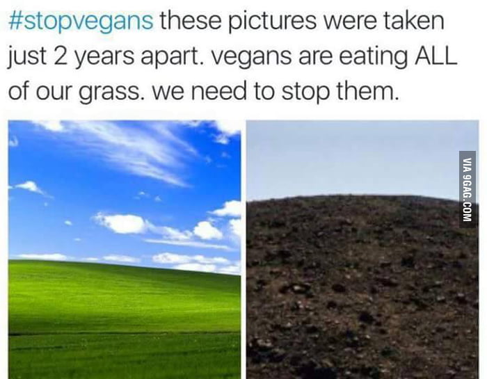 R.I.P. beloved Windows Xp background - 9GAG