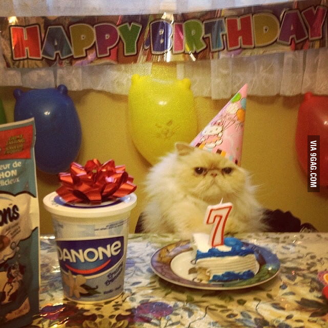 Happy Birthday Mr. Bojangles - 9GAG