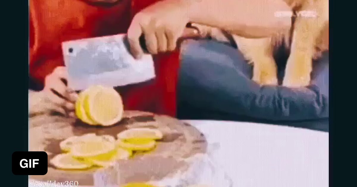 Lemon squeezey - 9GAG