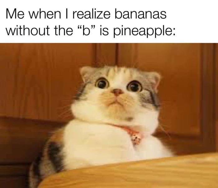 Because ananas is exactly the same - 9GAG