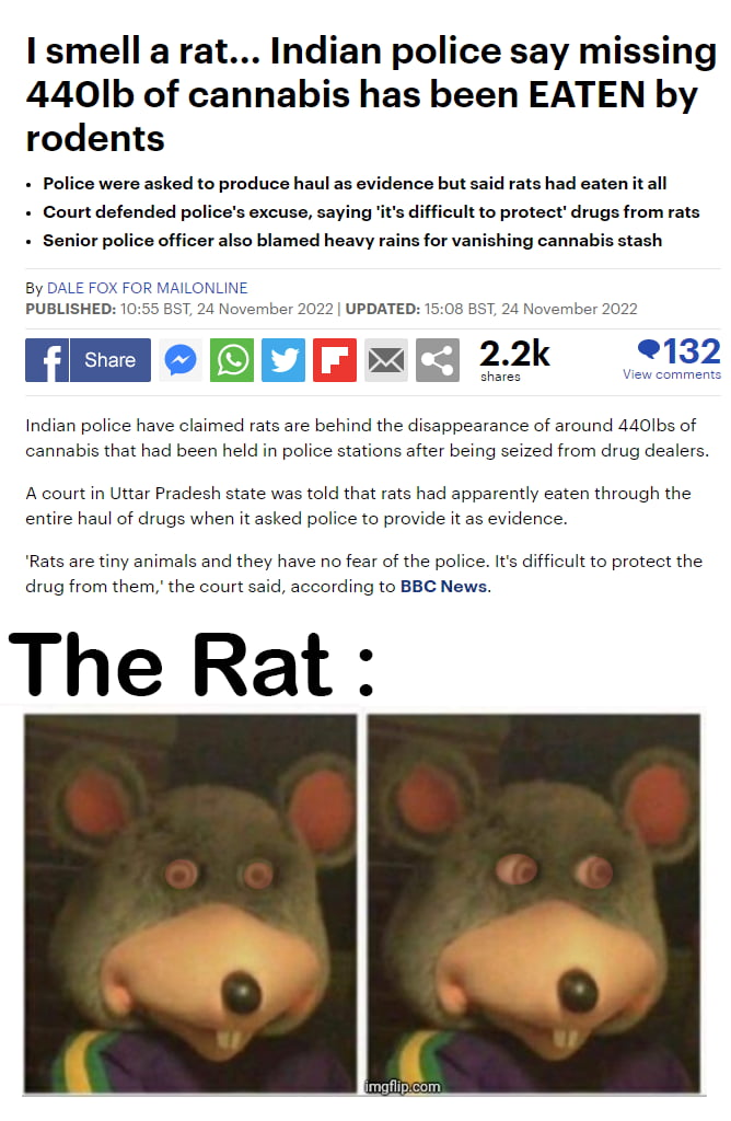 High rat - 9GAG