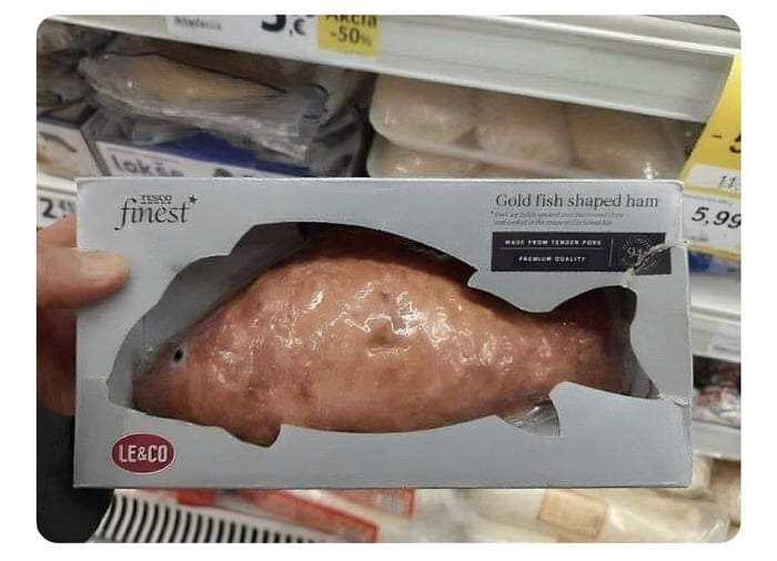 Finest Gold Fish Ham - 9GAG
