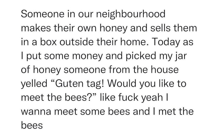 Met the bees! - 9GAG