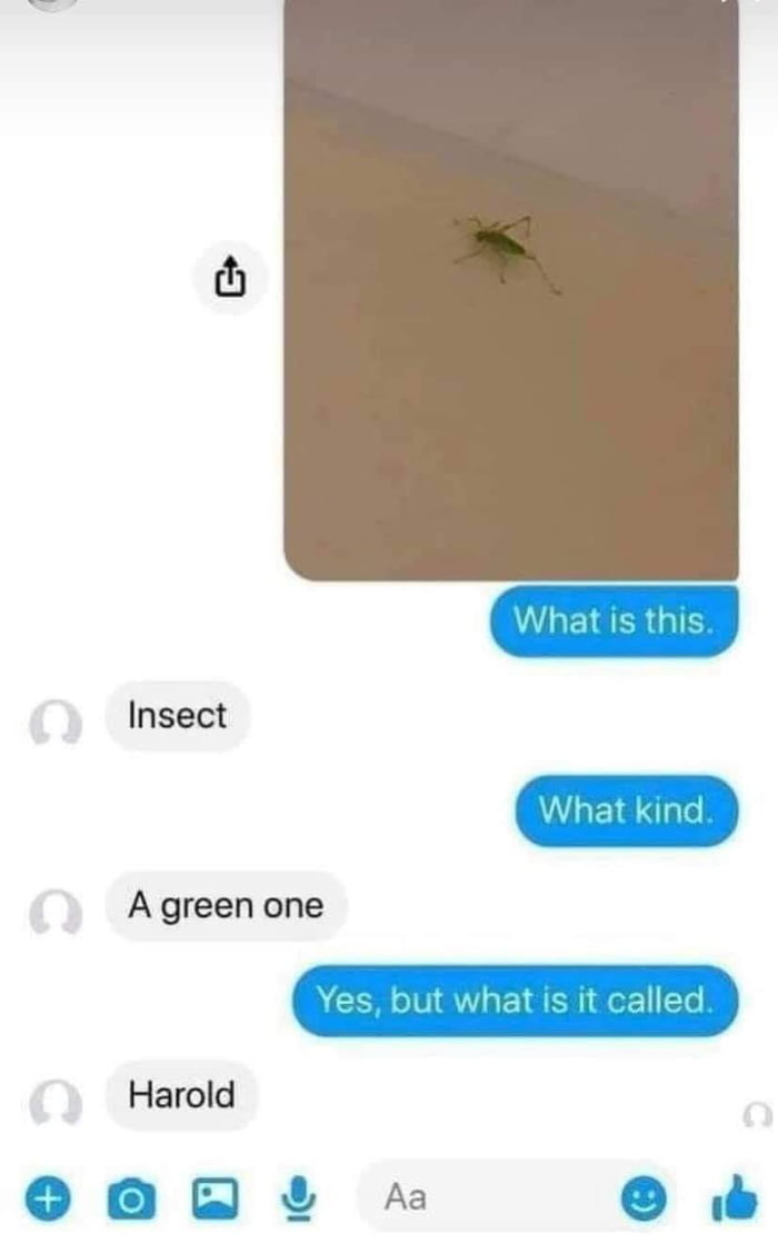 Harold, The almighty green insect - 9GAG