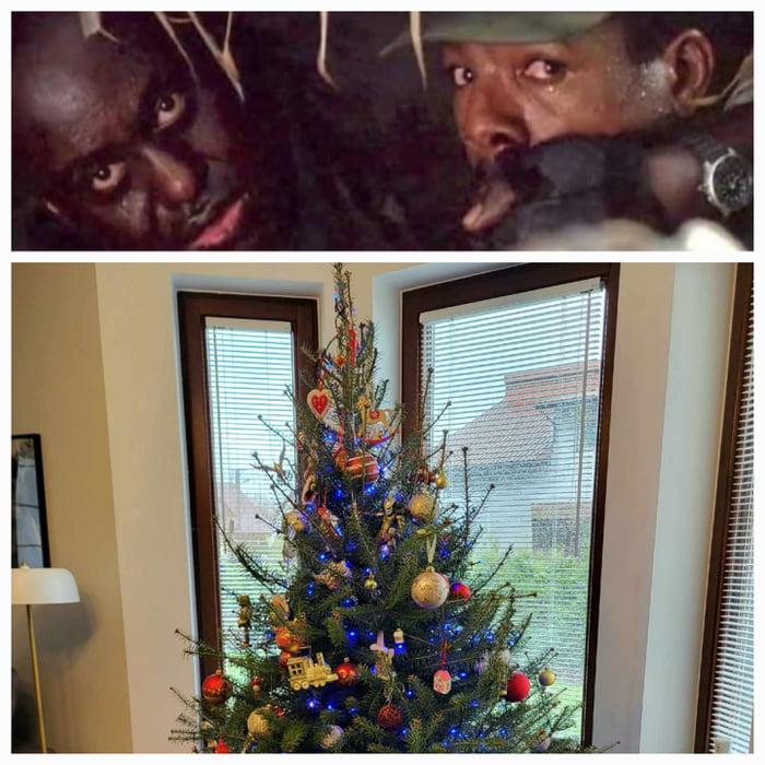 Over there. Pass the trees. - 9GAG