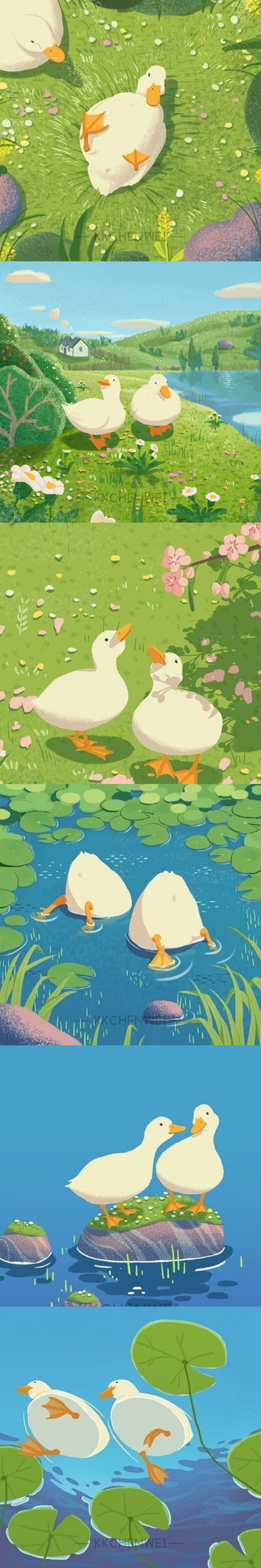 Here's a much needed random duck - 9GAG