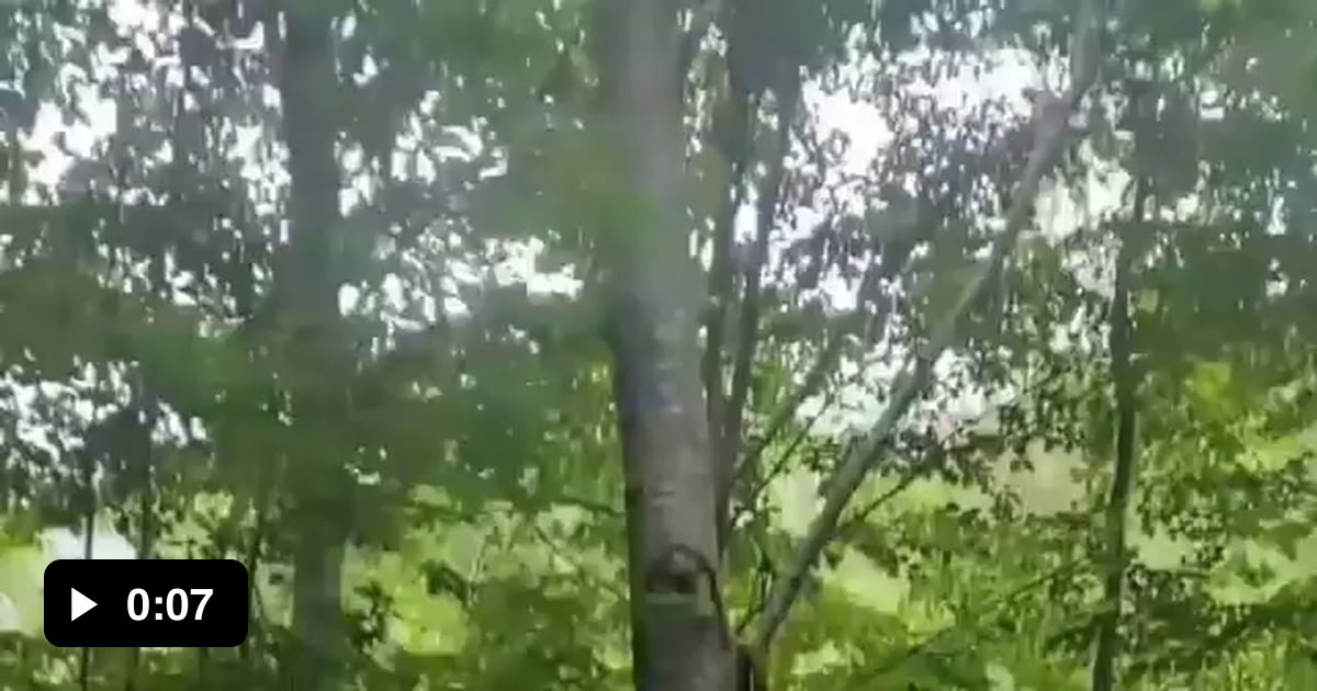 If only landing was well executed... 6/10 - 9GAG