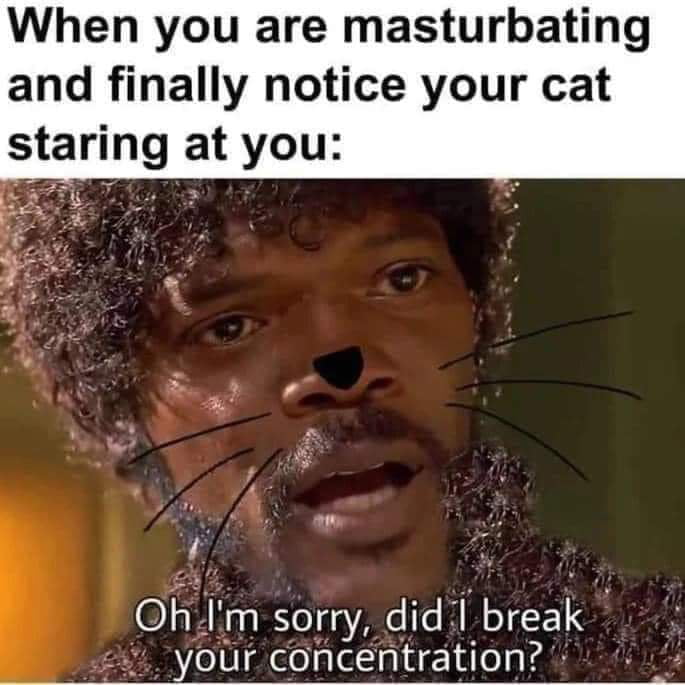 Ceiling cat is watching you - 9GAG