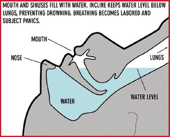 A guide to what happens when someone is being waterboarded. - 9GAG