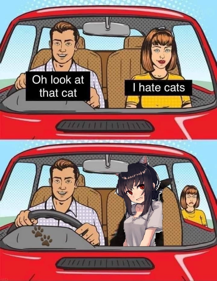 Neko - 9GAG