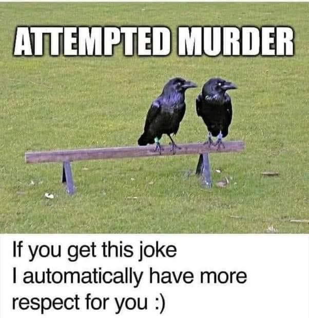 Murder… - 9GAG