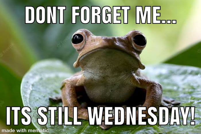 Dudes, don’t angry Wednesday Frog..!! - 9GAG