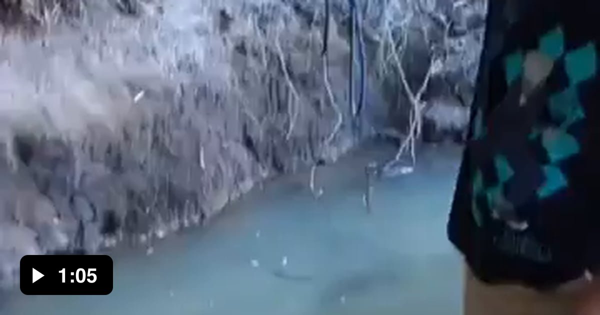 The only way to get across croc infested waters - 9GAG