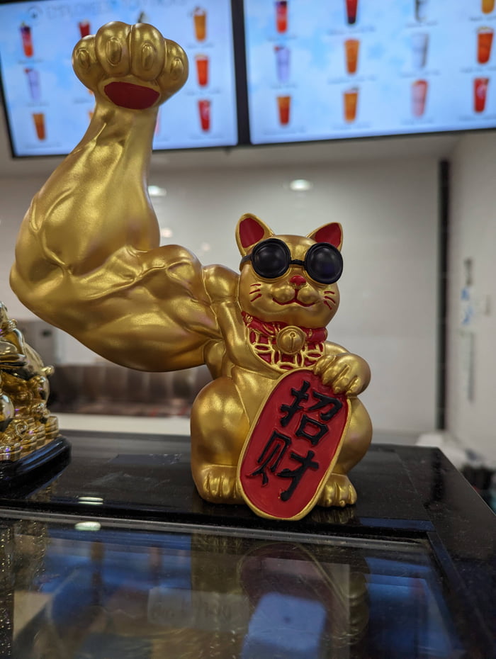 Fortune Cat does not skip arm day - 9GAG