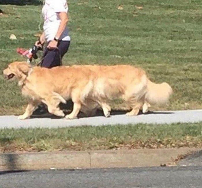 Octopeade, the Soul Retriever - 9GAG