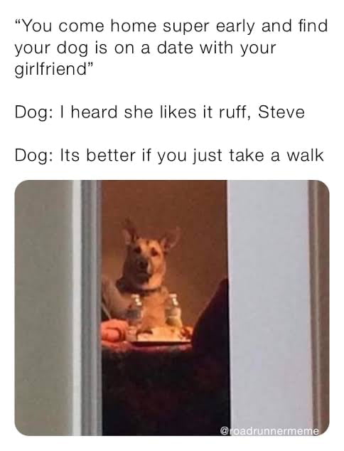 Yes out you go ! Doggo knows best . - 9GAG