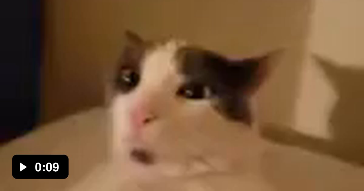 Ahhh, that's the spoh... Why you stop? - 9GAG