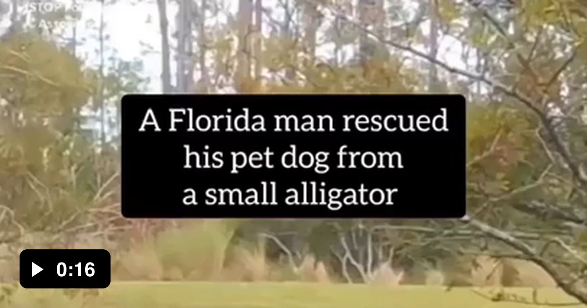 Defending Man's Best Friend - 9GAG