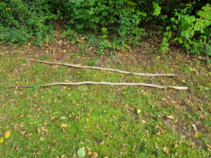 Rate my sticks - 9GAG