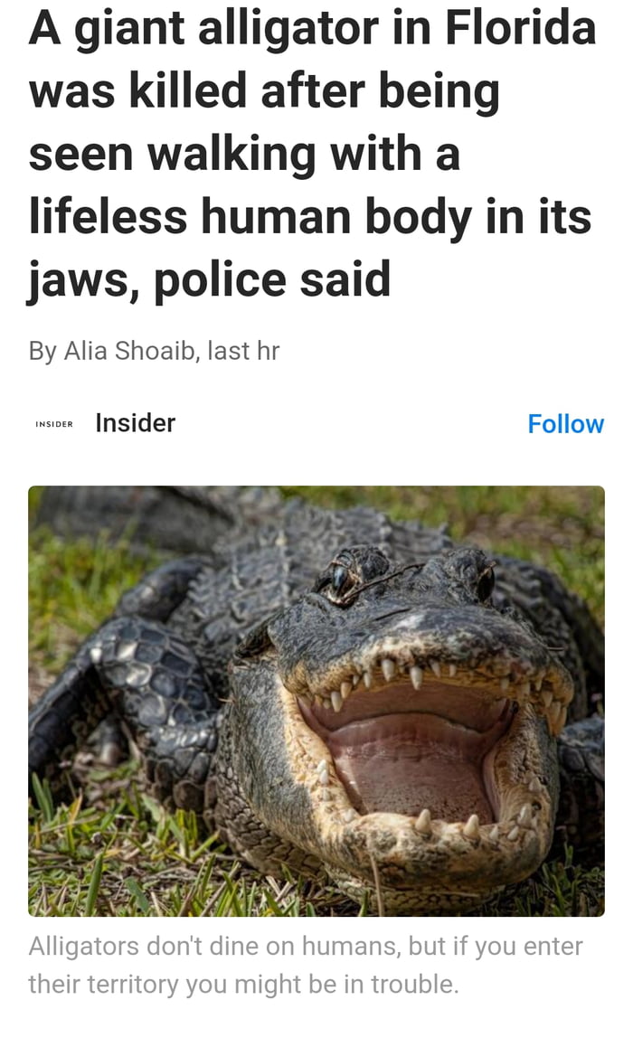 14 Foot alligator (about 24 bananas) - 9GAG