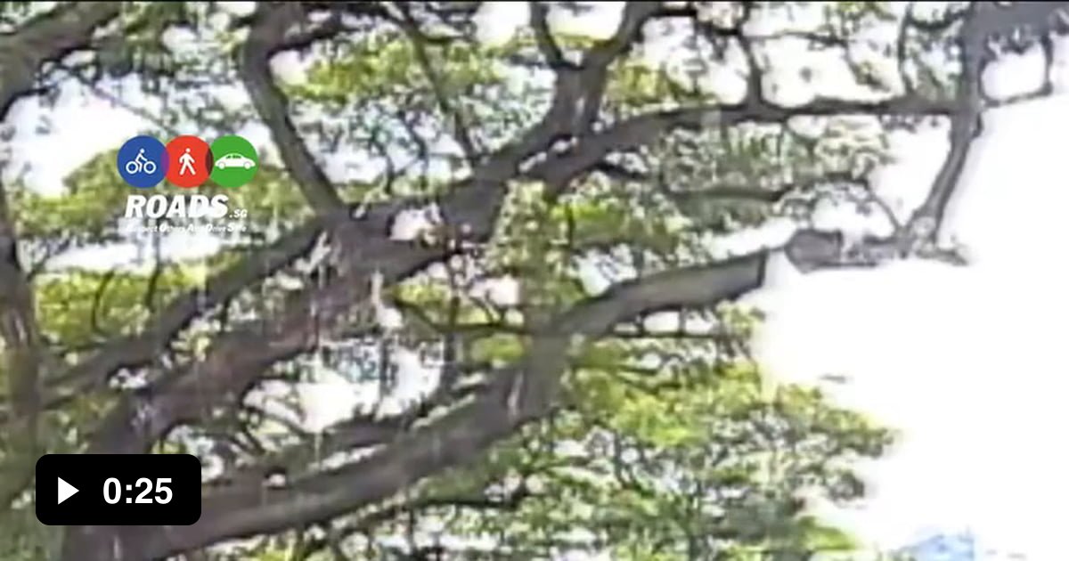 Time to dig up some dirt ... - 9GAG