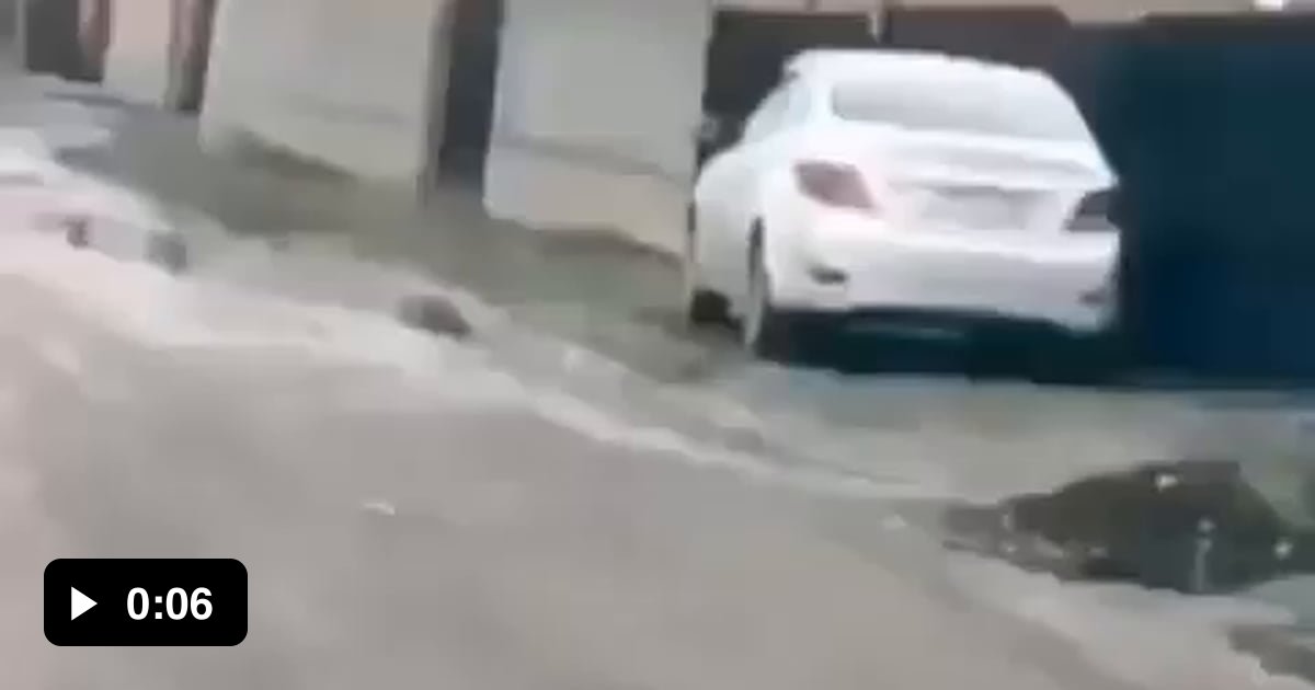 But What The F K 9gag