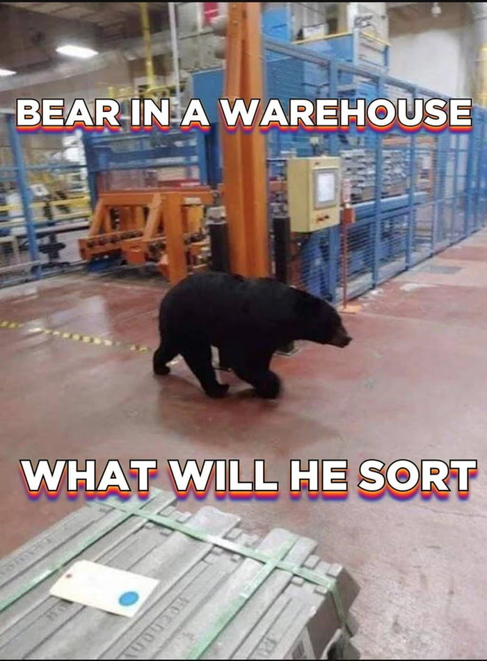 Bearly anything I guess - 9GAG