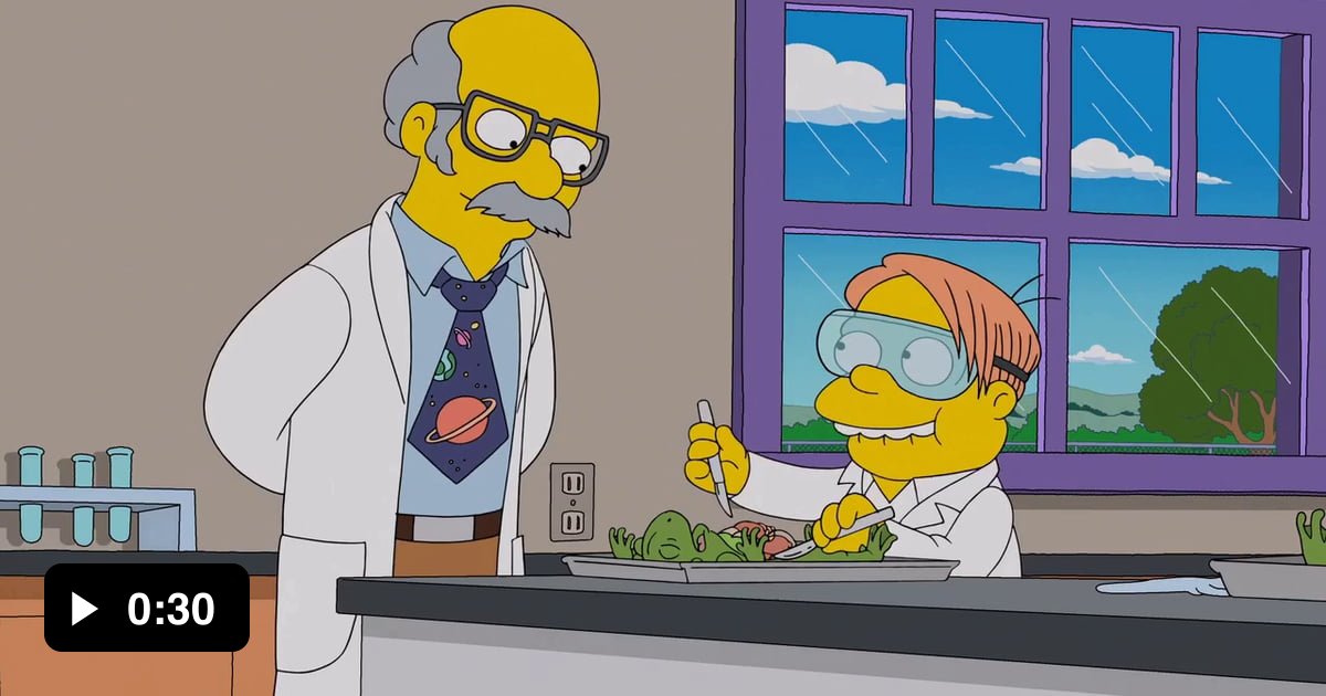 Bart Simpson Rasta Frogian - 9GAG