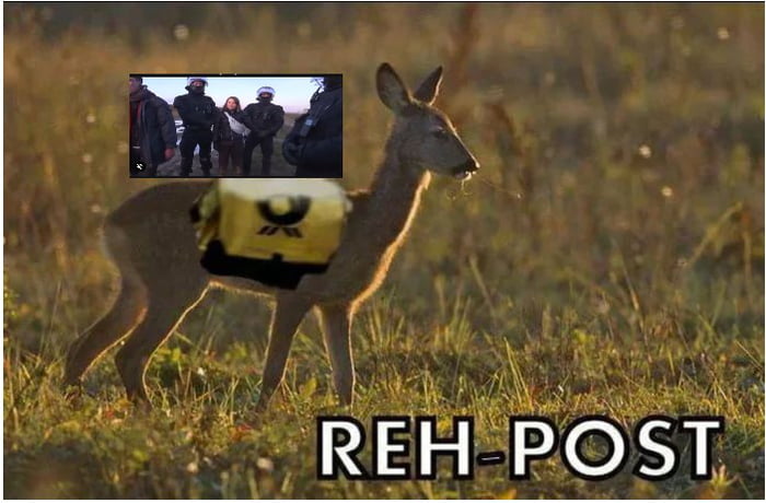 Das Reh hat heute vor allem ganz viel von einem Bild dabei! - 9GAG